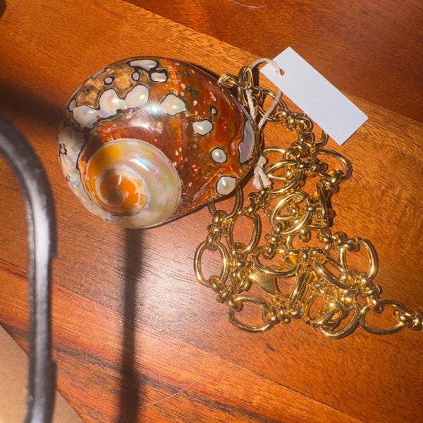 Large Shell Pendant Necklace, Giant Huge Shell Necklace, Natural Shell ...