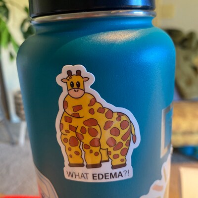 Cute Kidney Sticker/ You've Got to Be Kidney Me/ Kidney Stone/ Medical ...