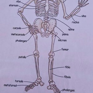 Nature Play Doh Mats Visual Cards, Fine Motor Skills Activity Printable ...