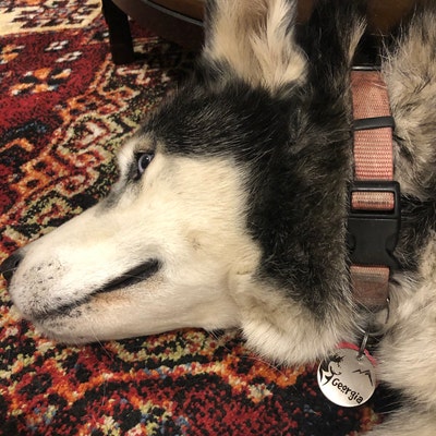 Large Dog Tag Husky Tag Personalized Pet ID Tag With Engraved - Etsy