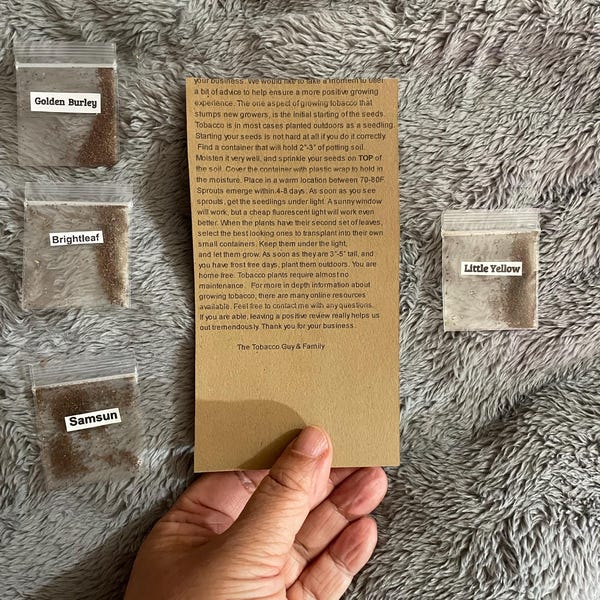 Chewing Tobacco Seed Pack- 3 Varieties for Chew & Dip 3,000+ Seeds - Etsy