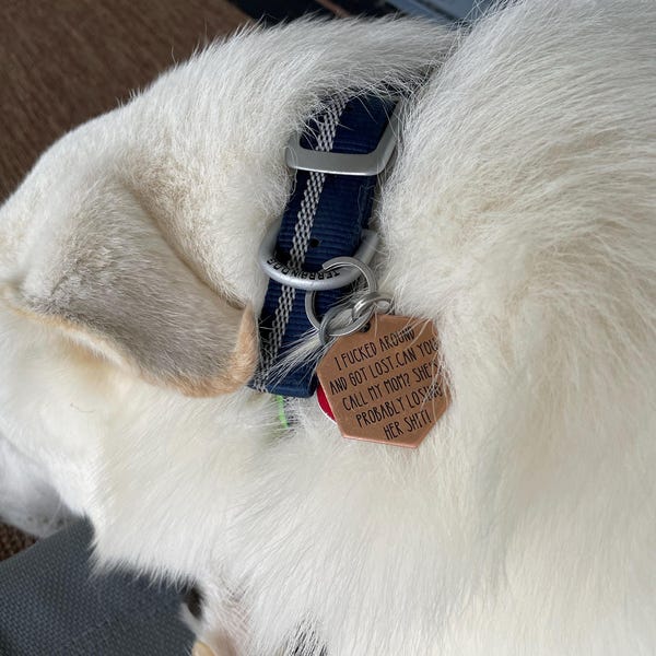 Dog Tag, Dog Collar Tag, Personalized Cat Tag, Custom Cat Collar Tag ...