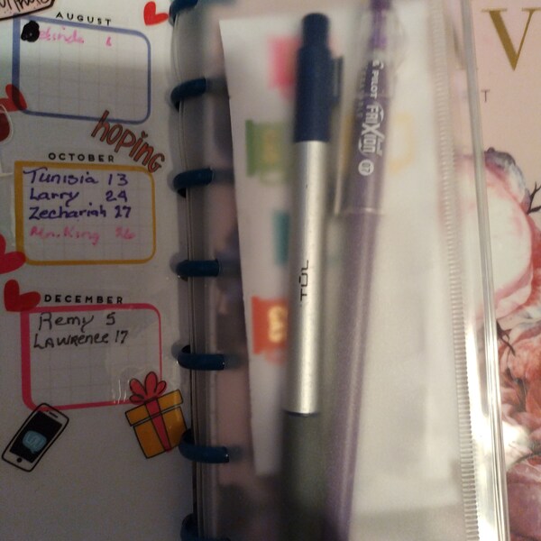 Mini Happy Planner Pouch, Skinny Mini, Clear Sticker Storage, Storage ...