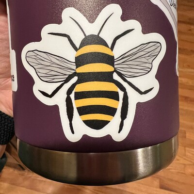 Monstera Adansonii Sticker Swiss Cheese Plant Sticker Clear - Etsy