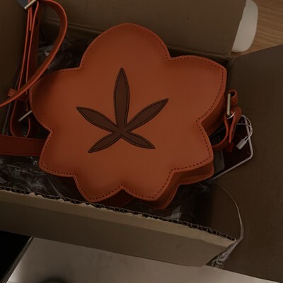 Pre-order, Shellfish Pochette Bag Shoulder Bag Animal Crossing New ...