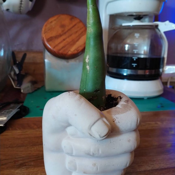Cement Hand Planter | Concrete Hand Pot | Hand-shaped Planter | Unique ...