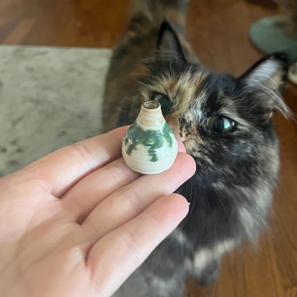 Mystery Vase - Three Random Vases Chosen From Unlisted Vases - Etsy