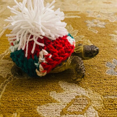Festive Pom Pom Turtle/ Tortoise Costume - Etsy