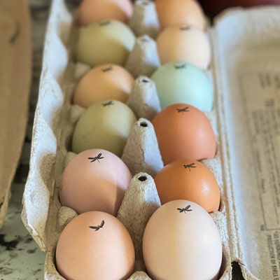 Mini Egg Safe Ink Pad Black Size: 1.75 X 2.5 Food Safe Ink Pad Egg ...