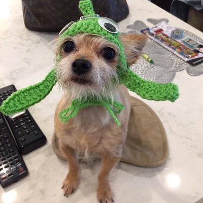 Alien Cat Costume - Etsy