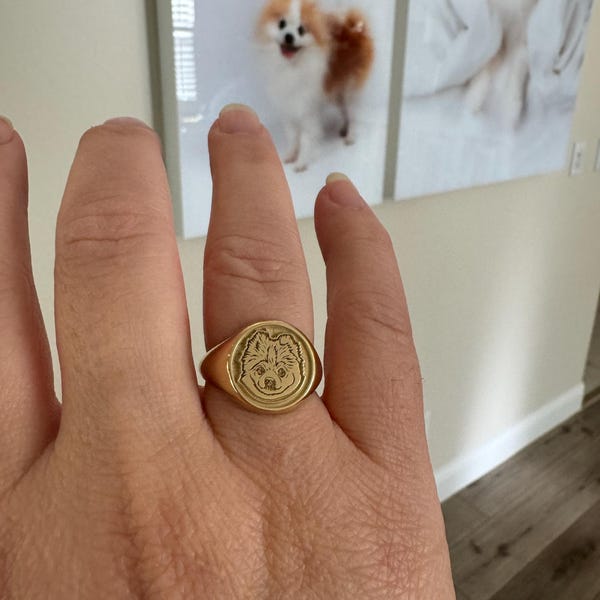 14K Solid Gold Raven Bird Signet Ring, Gold Crow Ring, Gothic Gold Ring ...