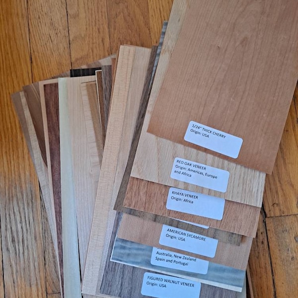 WOOD VENEER 40 Labeled Pieces Mixed Domestic Exotic Variety Art Pack ...