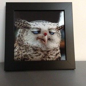 Square Black Picture Frames 4x4 5x5 6x6 7x7 8x8 9x9 10x10 11x11 12x12 ...