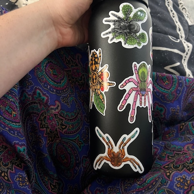 Tarantula Sticker Pack 4 Glossy Waterproof 2.75 Inch Stickers OBT G ...