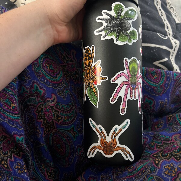 Tarantula Sticker Pack - 4 Glossy Waterproof 2.75 Inch Stickers - OBT G ...