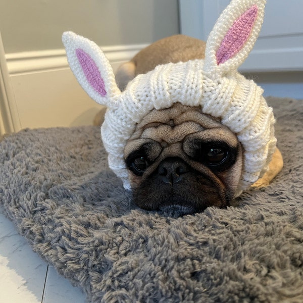 Bunny Rabbit Dog Snood | Knit Crochet Dog Hat | Halloween Dog Costume ...