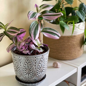 Plant Stakes / Whimsy Sticks / Fairy Garden Accessory / Decorative ...