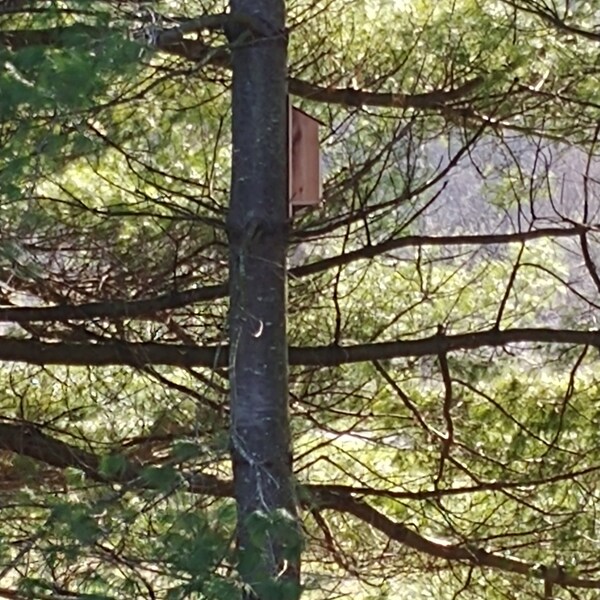 Lotus Flower Mandala Metal Wall Art, Lotus Flower Line Art, Large ...