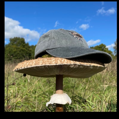 CAROLINA WREN State Bird Hat Embroidered Men Women Wildlife - Etsy
