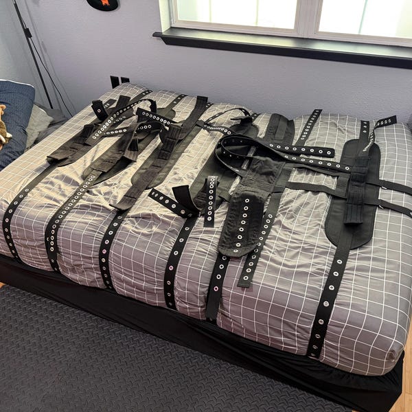 15 Point Segufix Bed Restraint Kit Head Shoulder Waist Crotch Wrist Arm ...