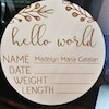Hello World Sign With Stats Hospital Sign Newborn Announcement Newborn ...