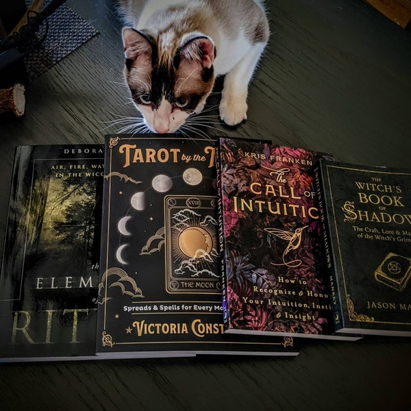 The Elements of Ritual Book Air Fire Water & Earth in the Wiccan Cycle ...