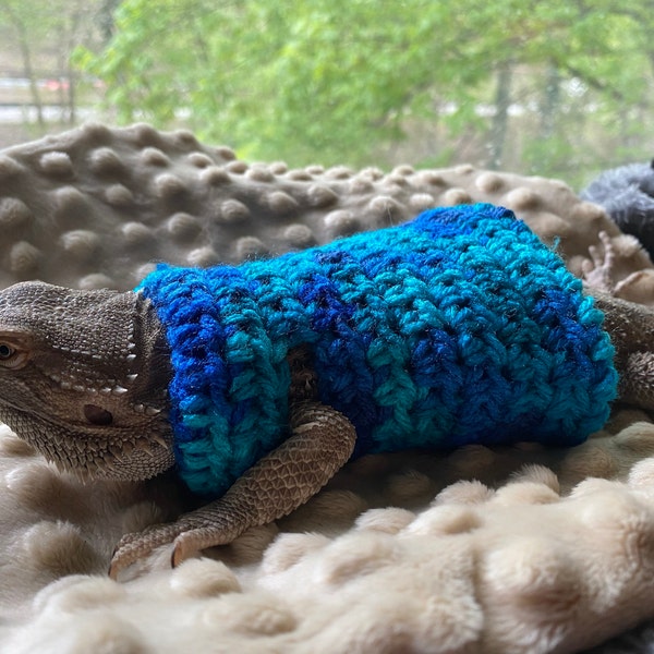 Crocheted Adult Bearded Dragon Sweater | Bearded Dragon Sweater ...