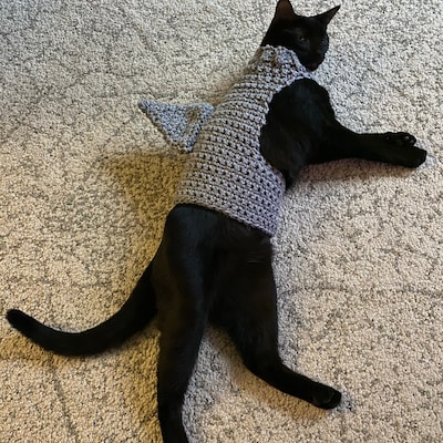 Mohawk Dog/cat Hat - Etsy