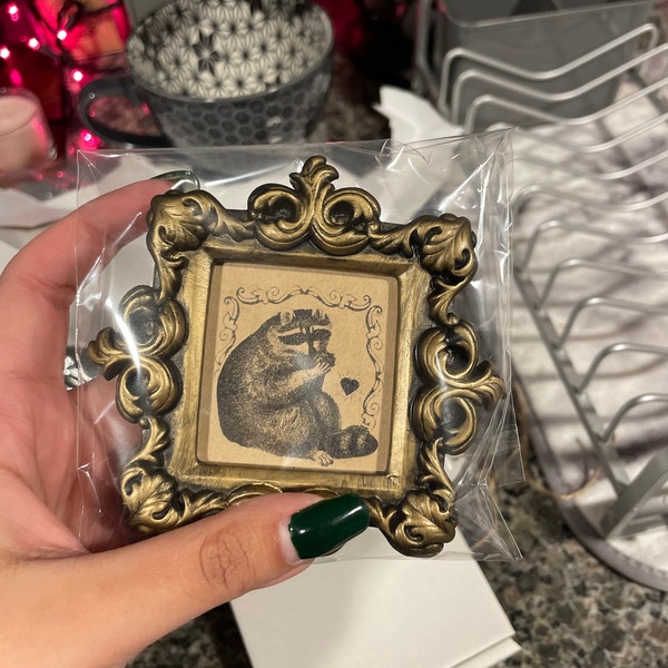 Raccoon Print in Baroque Frame Vintage Style Art in Mini Baroque Frame ...