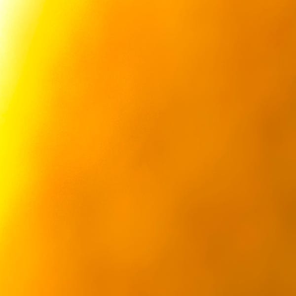 Market Botany Prop Drops - Liquid Propagation Supplement, Root Growth ...