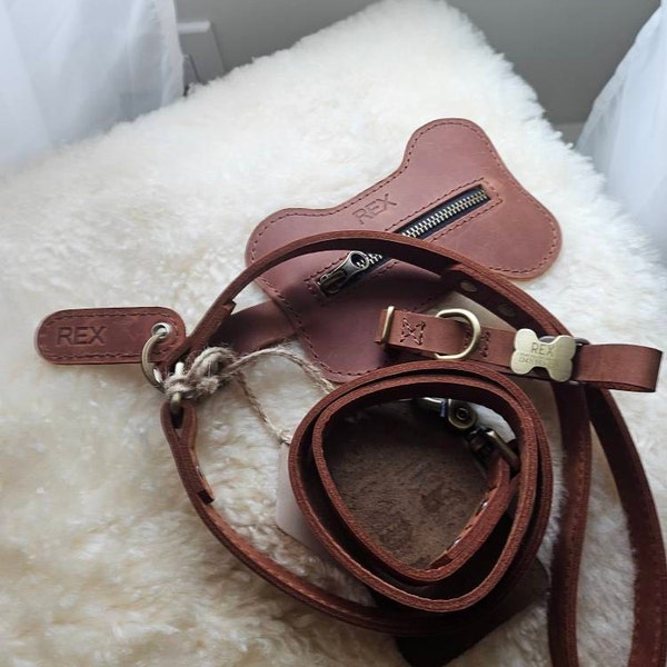 Rustic Hardware Dog Leash Leather Dog Leash Rustic Lobster Clasp Dog ...