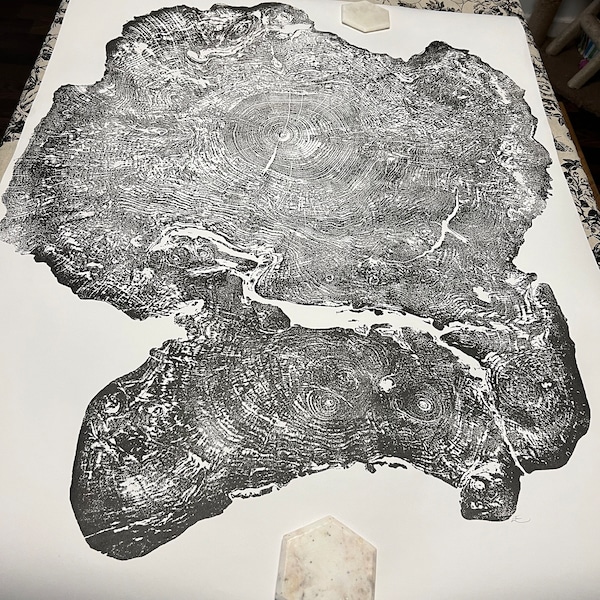Big Leaf Maple, Tree Ring Print, Massachusetts Art, Oversized Tree Ring ...
