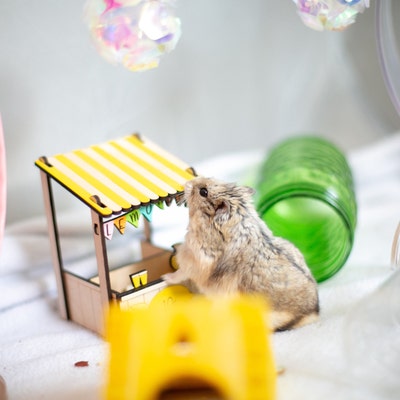 Custom 2 Layers Boho Style Hamster Hideout Wild Desert Castle With