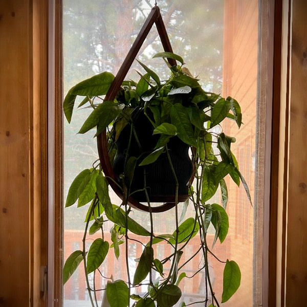 Small Teardrop Cubby Plant Shelf Wooden Wall Shelf Wall Hanging Small ...
