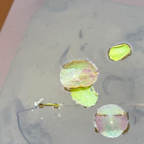 Pyrite Gold Decomposed Granite, Stabilized Decomposed Granite, Ground ...