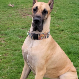 Aztec 2 Inch Dog Collar 1 Inch Wide Dog Collar Large Dog - Etsy