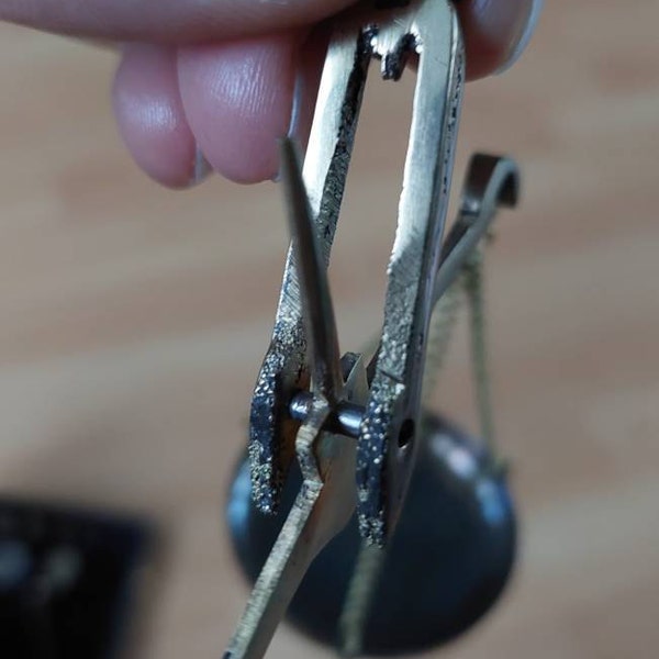 Vintage Science Kit Victorian Natural Science Dark Academia Antique ...