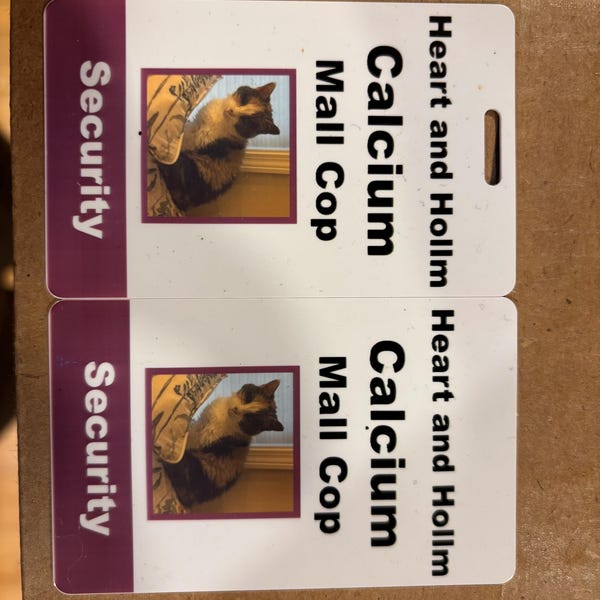 Custom Photo ID Badge With Optional Attachment - Personalized Name Tag ...
