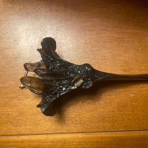 Animal Skull, Goth, Real Skull, Skull Jewelry, Oddities, Animal Bones ...