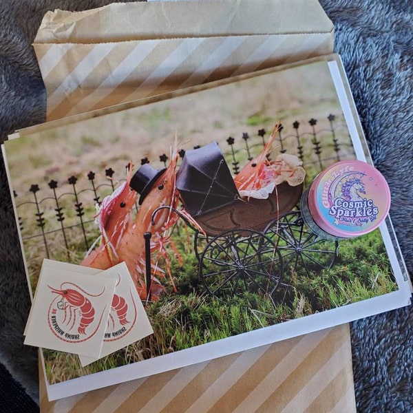 Shrimp Birthday Party Card by Shrimp Whisperer AK - Etsy