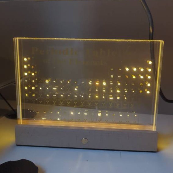 Insect Discovery Collection: Set of 12 Real Insects in Resin Bugs in ...