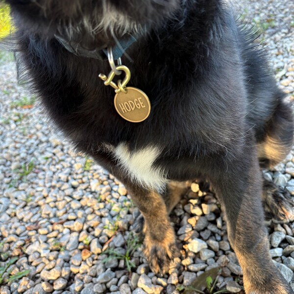 Cat Tag, Custom Cat Tag, Kitten Tag, Personalized Mini Pet ID Tag ...