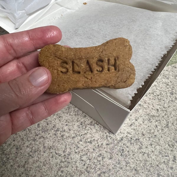 Personalized Peanut Butter Dog Bone Treats: Custom Puppy Gift Box - Etsy