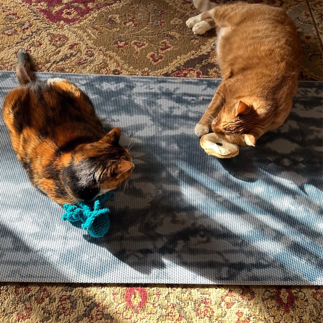 Purrsnickitty - Etsy