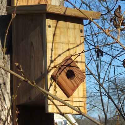 Chickadee Winter Roosting Box. - Etsy