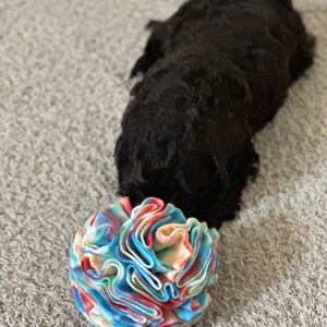 Snuffle Ball, Treat Dispenser, Treat Ball, Canine Enrichment, Keep Dogs ...
