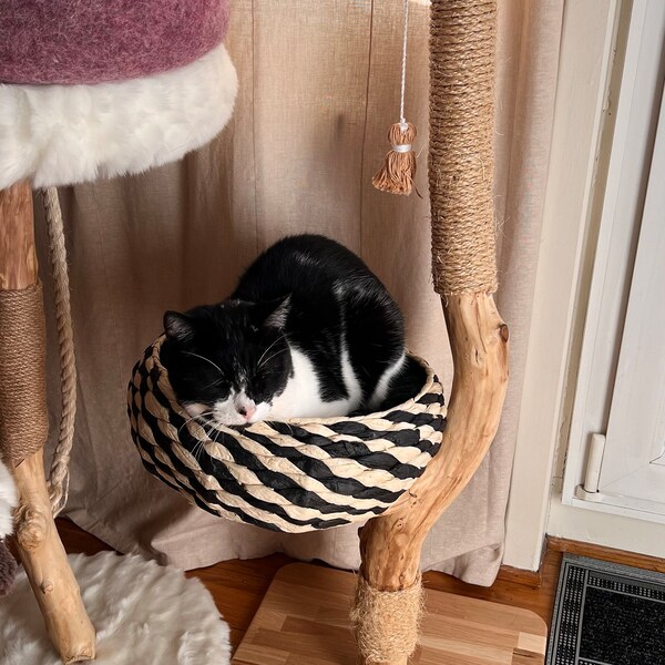 Unique Scratching Post, Cat Climbing Tree With Toys, Solid Wood ...