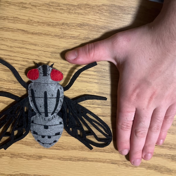 Realistic Felted Bugs Realistic House Fly Felted Fly Felt House Fly ...
