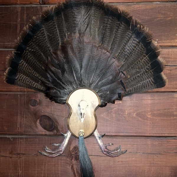 ELK Record Keeper - White Bone - Universal Size - Elk Skull Replica ...