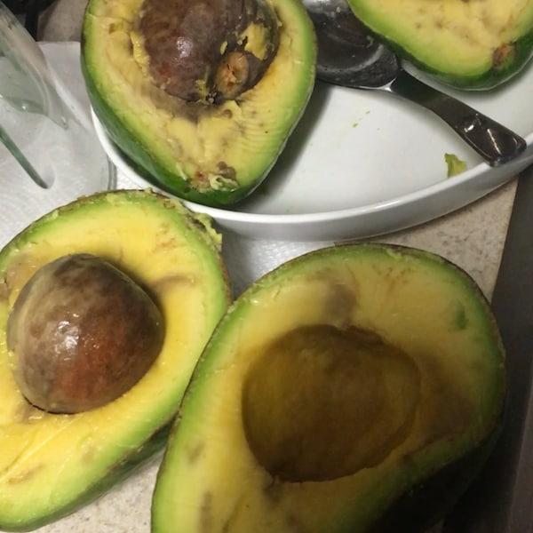 Organic Avocado Box| Avocado Gift Box| Florida Avocado Assortment ...